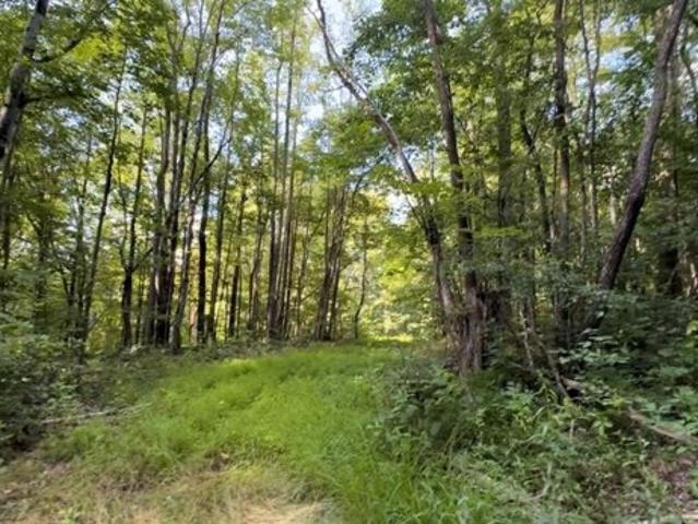 Tbd Peter Mabe Rd, Danbury, Plot For Sale