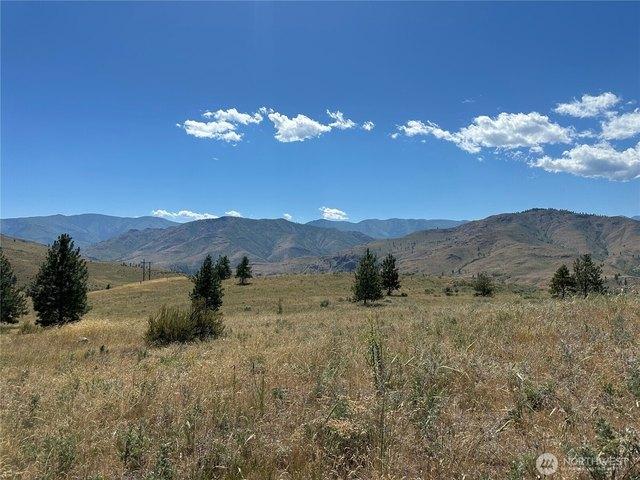 Tbd Peterson Ranch Rd, Pateros, WA 98846