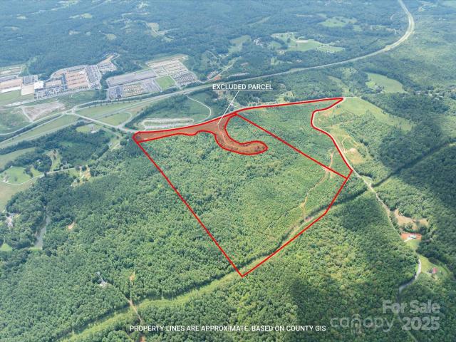 Tbd Pea Ridge Rd, Mill Spring, NC 28756 | MLS #4302 | Compass