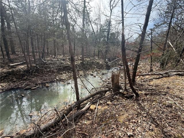 TBD Pea Ridge Road
