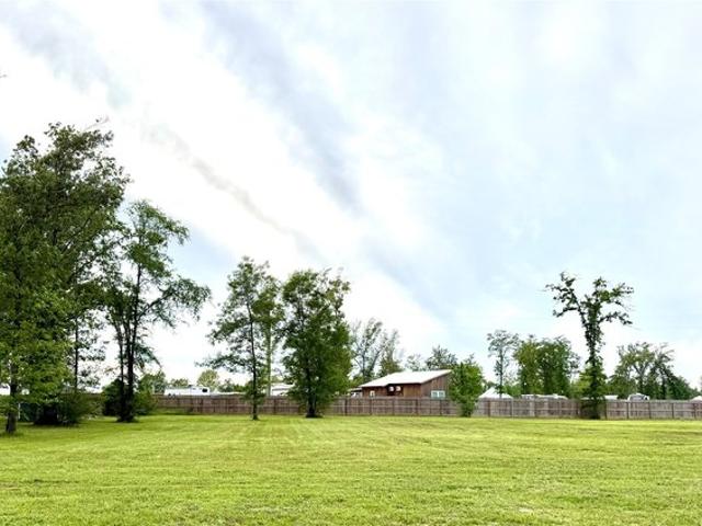 Tbd Pearl Ct Lot 17, Onalaska, TX 77360