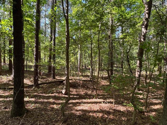 TBD Pearson Rd