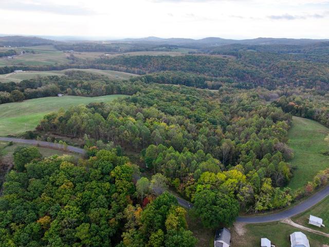 TBD Pedigo Ridge Rd