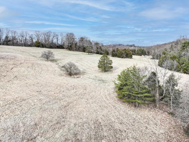 Tbd Pitt Loop