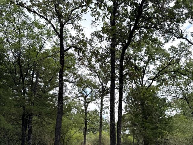 TBD Pin Oak Road