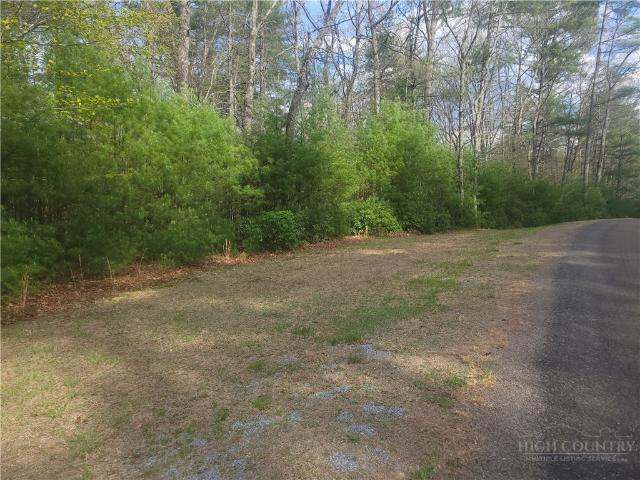 TBD Pine Chase