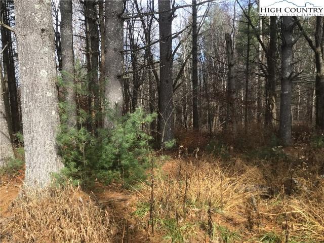TBD Pine Springs Estates Road
