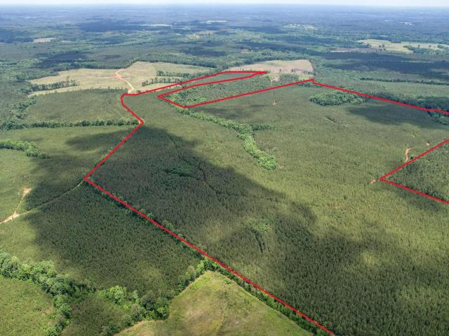 Tbd Pineywood Road