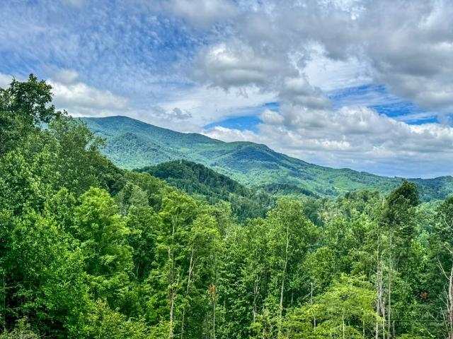 TBD Pinnacle View