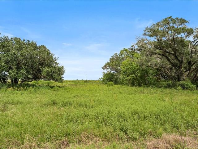 TBD Pintail Lane