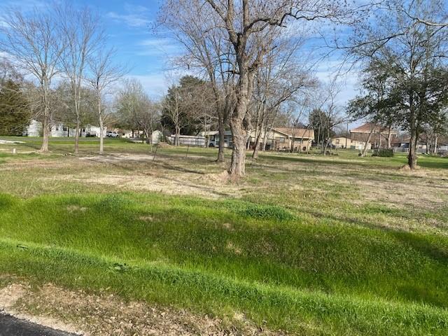 Tbd Plum St, Bedias, TX 77831 | MLS #31688