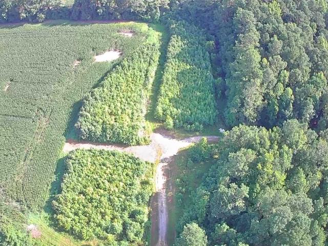 TBD Plantation Dr