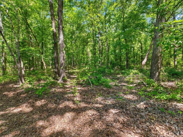 TBD Pleasant Valley Road
