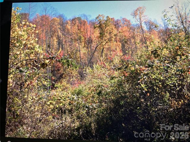 TBD Prices Creek Road