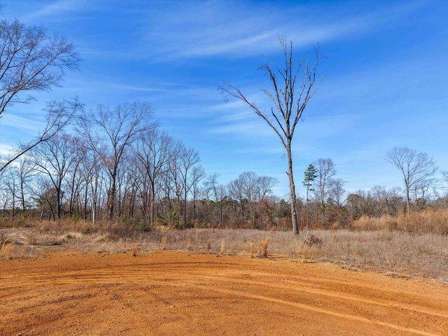 Tbd Private Road 1109 Lot 4, Diana, TX 75640