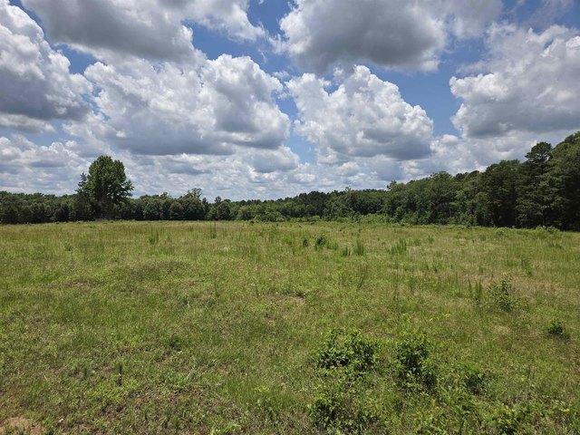 Tbd Private Road 4079, Gilmer, TX 75644