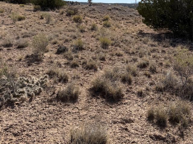 Tbd pueblo drive