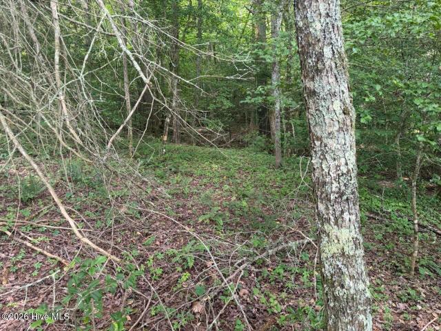 Tbd Rough Gravel Road # 5/6