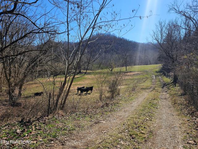 TBD Route 70, Jonesville, VA 24263