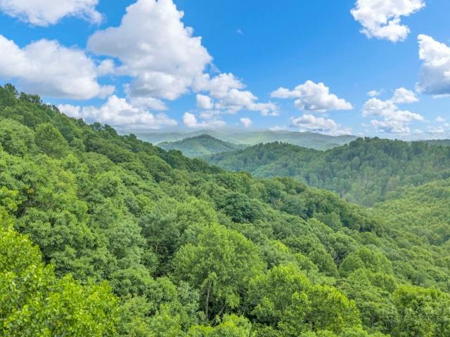 TBD Roaring Fork Road