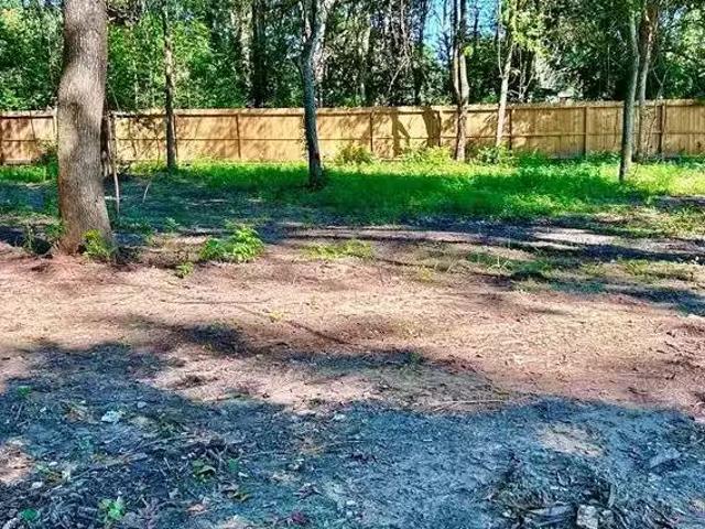 Tbd Robin Ln Lot 30 31, Shepherd, TX 77371 MLS 22286859