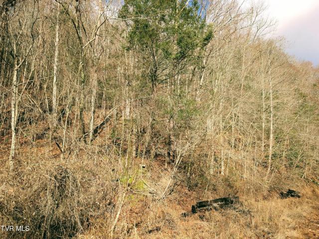 Tbd Rockhouse Road