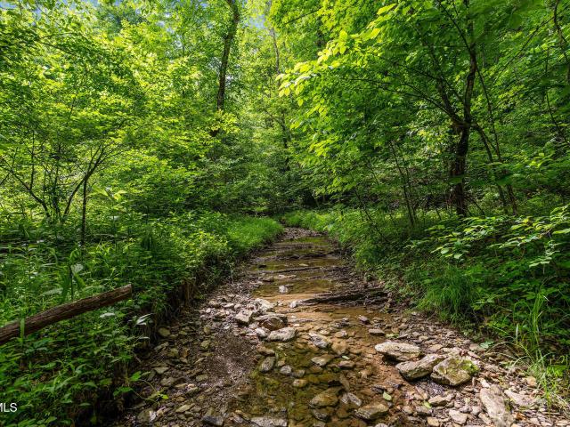 Tbd Rocky Hollow Road