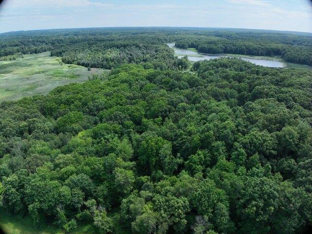 Tbd Rochester Rd, Dryden, MI 48428