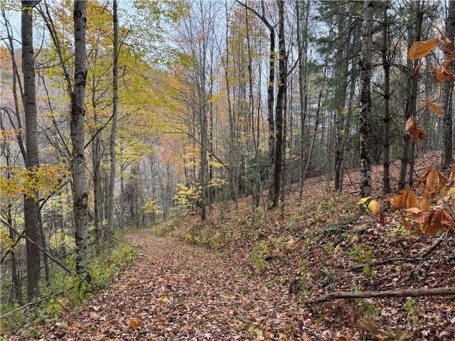 TBD Rominger Road