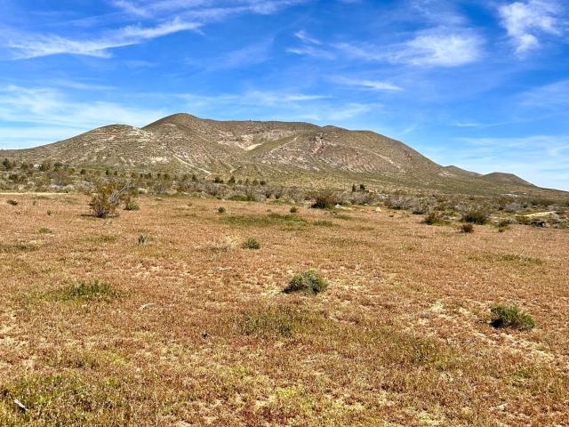Tbd Rosamond Blvd, Rosamond, CA 93560 | MLS #26001