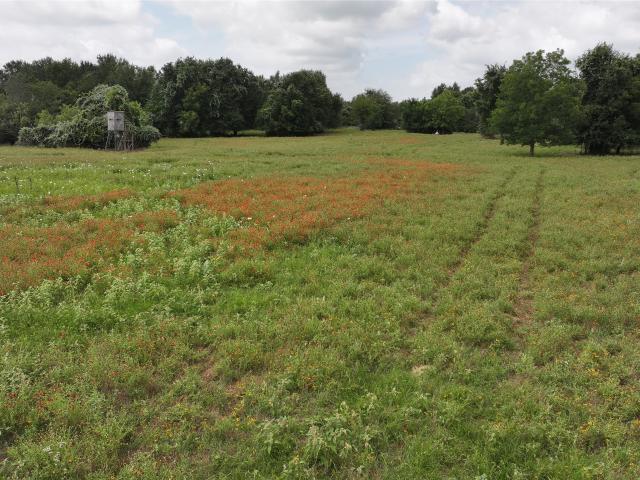 TBD Rose Hill Rd / Pleasant Rd