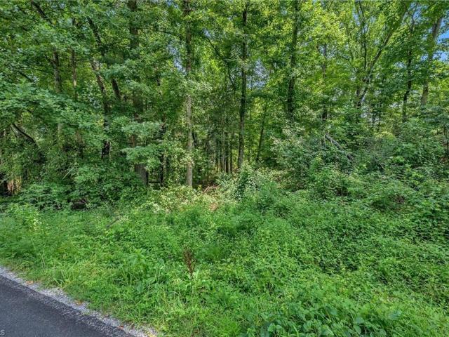 TBD Raven Oak Drive
