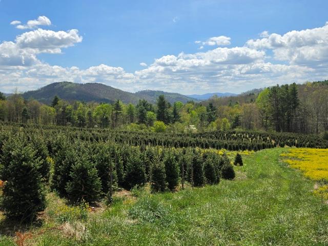 TBD Rabbit Fork Rd