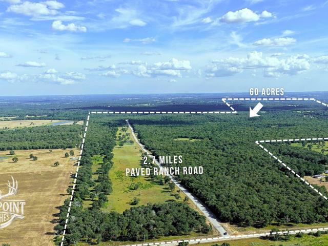 TBD Ranch Road off CR 405 +/ 60 acres