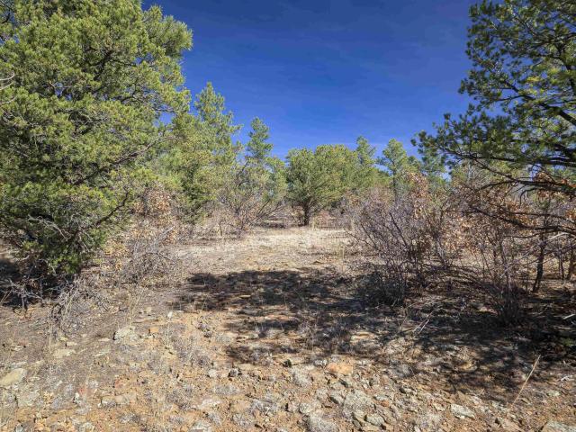 Tbd Rancho La, Lot 1129, Weston, CO 81091 | MLS #832003 | Compass