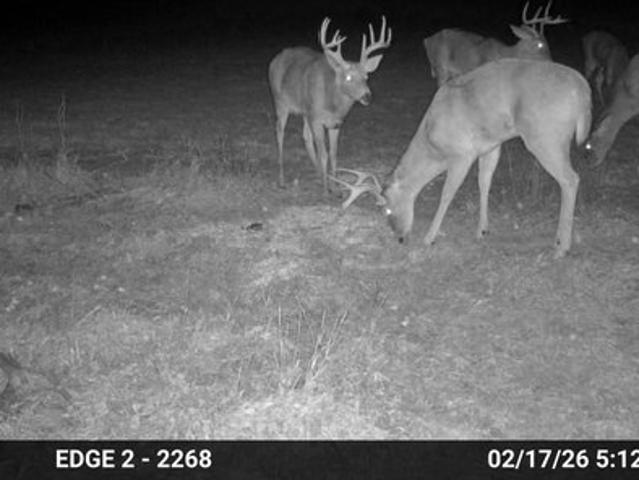 Tbd Rd # 314, Herndon, KS 67739