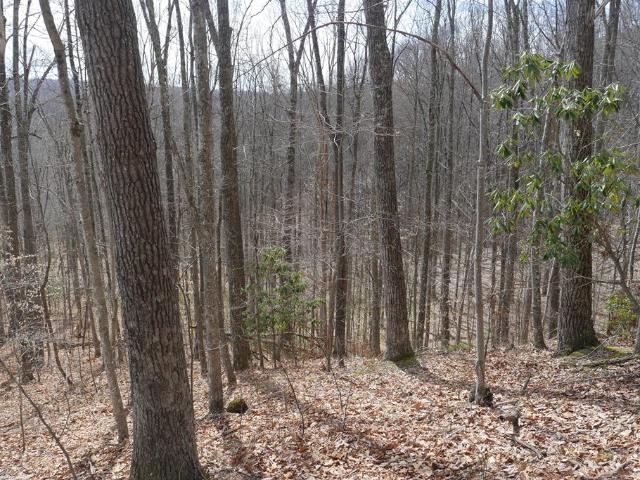 TBD Reynolds Ridge Road