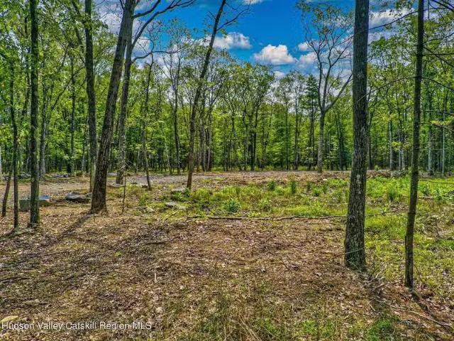 Tbd Reilly Road, Kingston, NY 12401 655311420