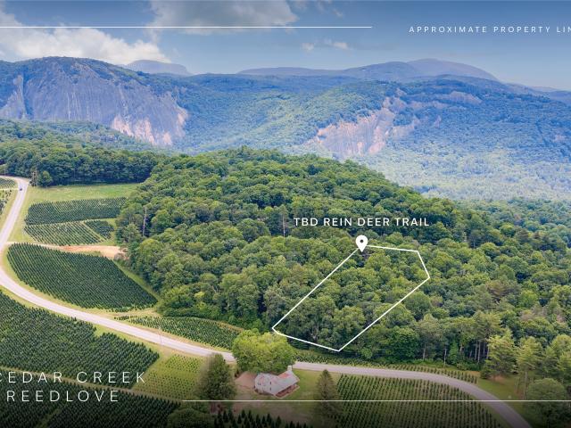 TBD Rein Deer Trail