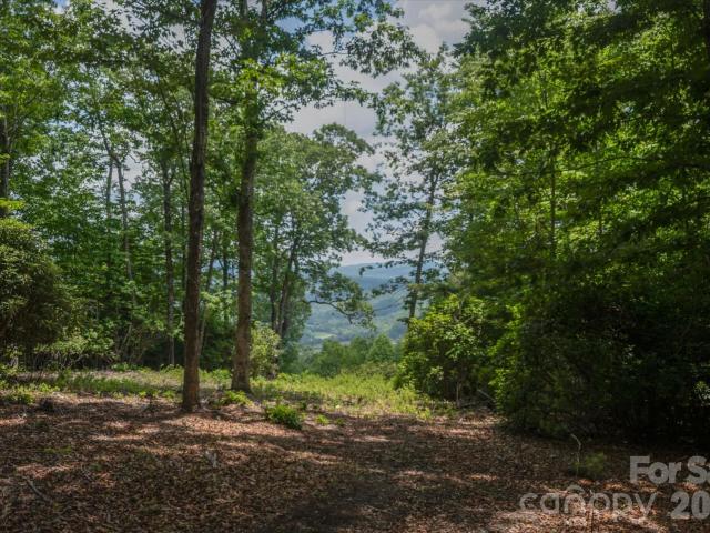 TBD Reserve Road # 16