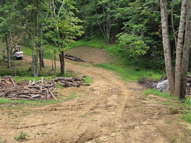 TBD River Country Road