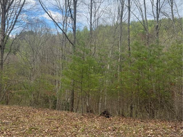Tbd river bend hills road