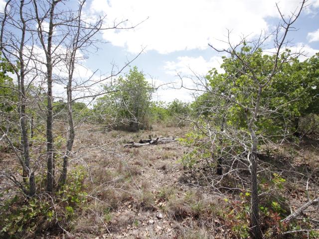 TBD River Forest Dr
