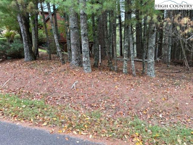 TBD River Forest Road