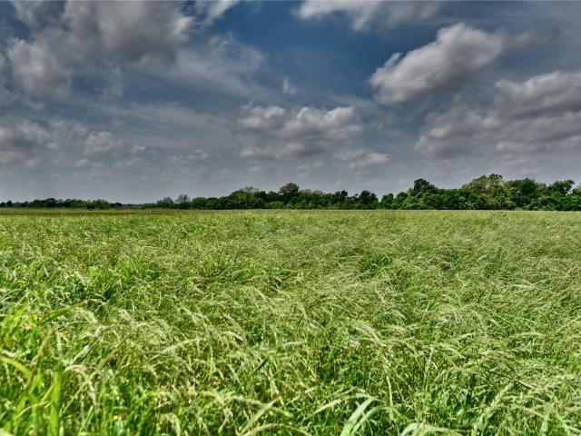 TBD River Haven Dr