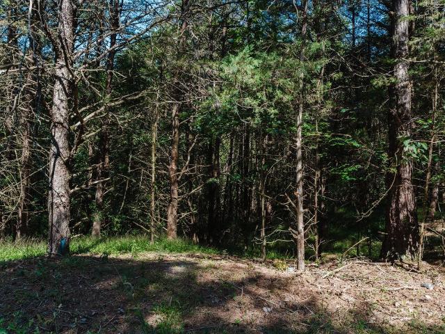Tbd river view rd