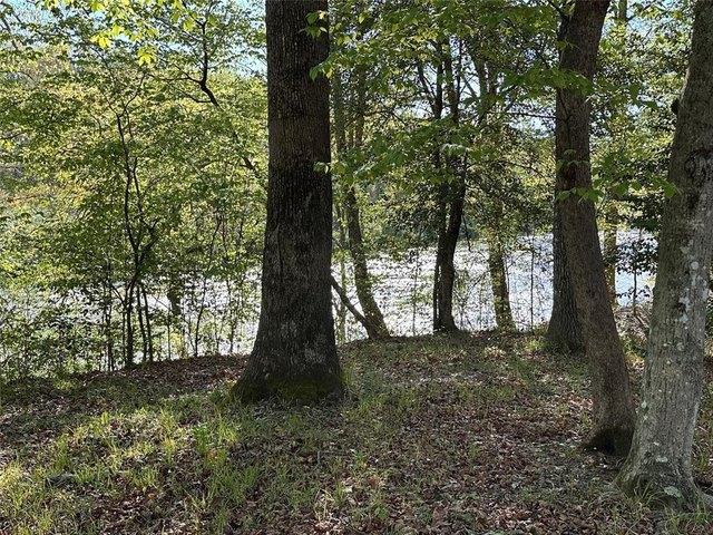 Tbd Riverside Ln, Smithville, OK 74957