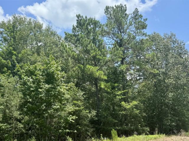 TBD Riverstone Drive