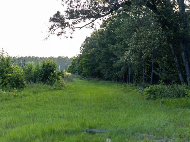 TBD Rizer Cemetary Road