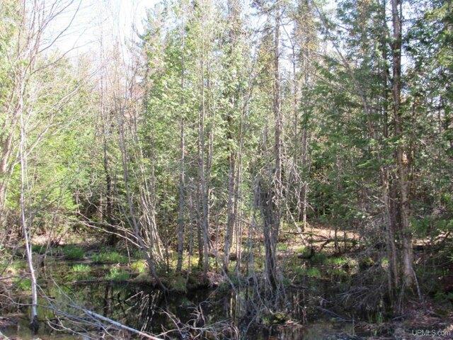 Tbd Rice Lake Rd, Lake Linden, Plot For Sale